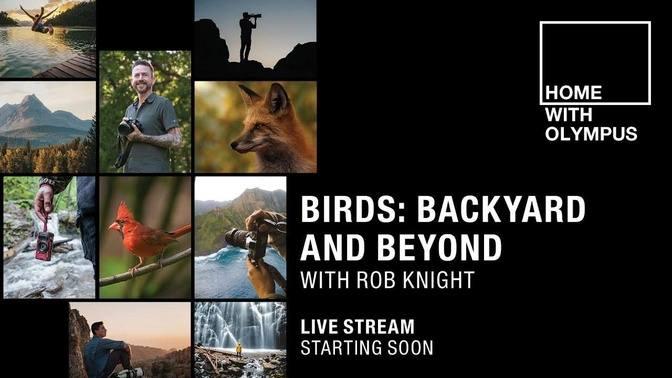 Bird Photography Basics Backyards and Beyond | Videos | Birdz & Beyond ...