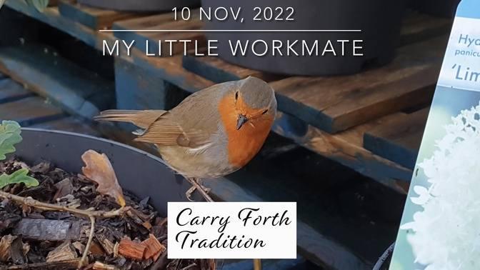 My Little Workmate - A Robin! | Videos | Carry Forth Tradition | Gan ...
