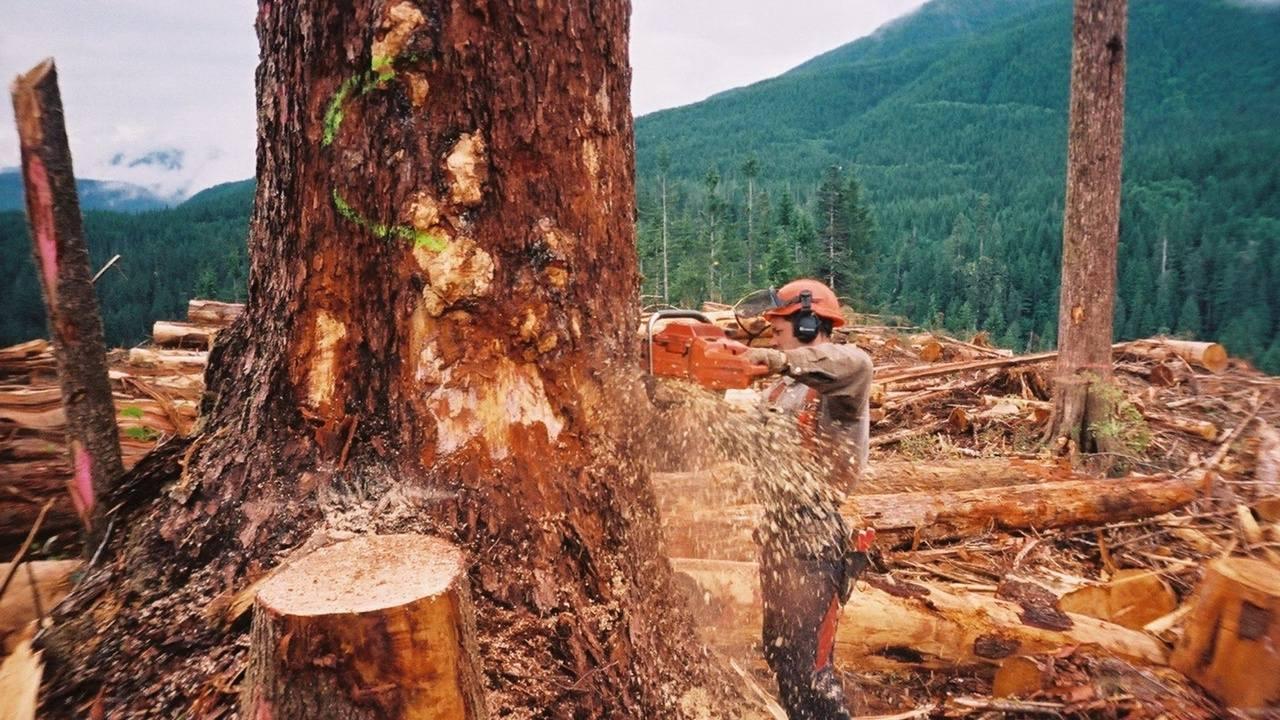 Buckin' Billy Ray Smith