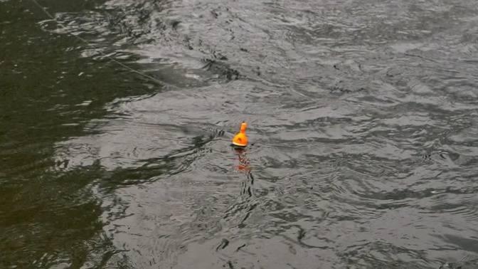 Bobber Fishing Steelhead - October 2021 | Videos | Chiefz | Gan Jing ...