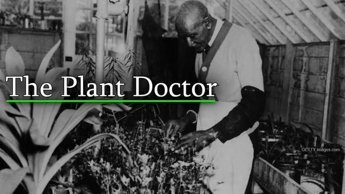 The Plant Doctor, George Washington Carver, pioneer of sustainable ...
