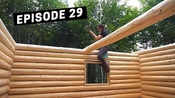 Building A Log Cabin | Ep. 29 | After 17 log layers the walls are DONE ...