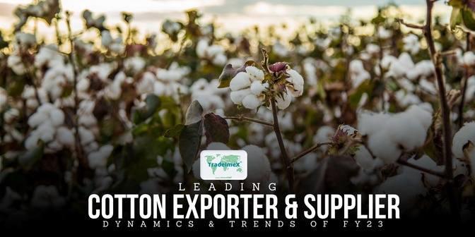 Cotton Export Industry: Greatest Cotton Exporters | Articles ...